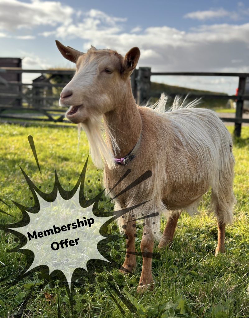 Forms and Membership - Golden Guernsey Goat Society
